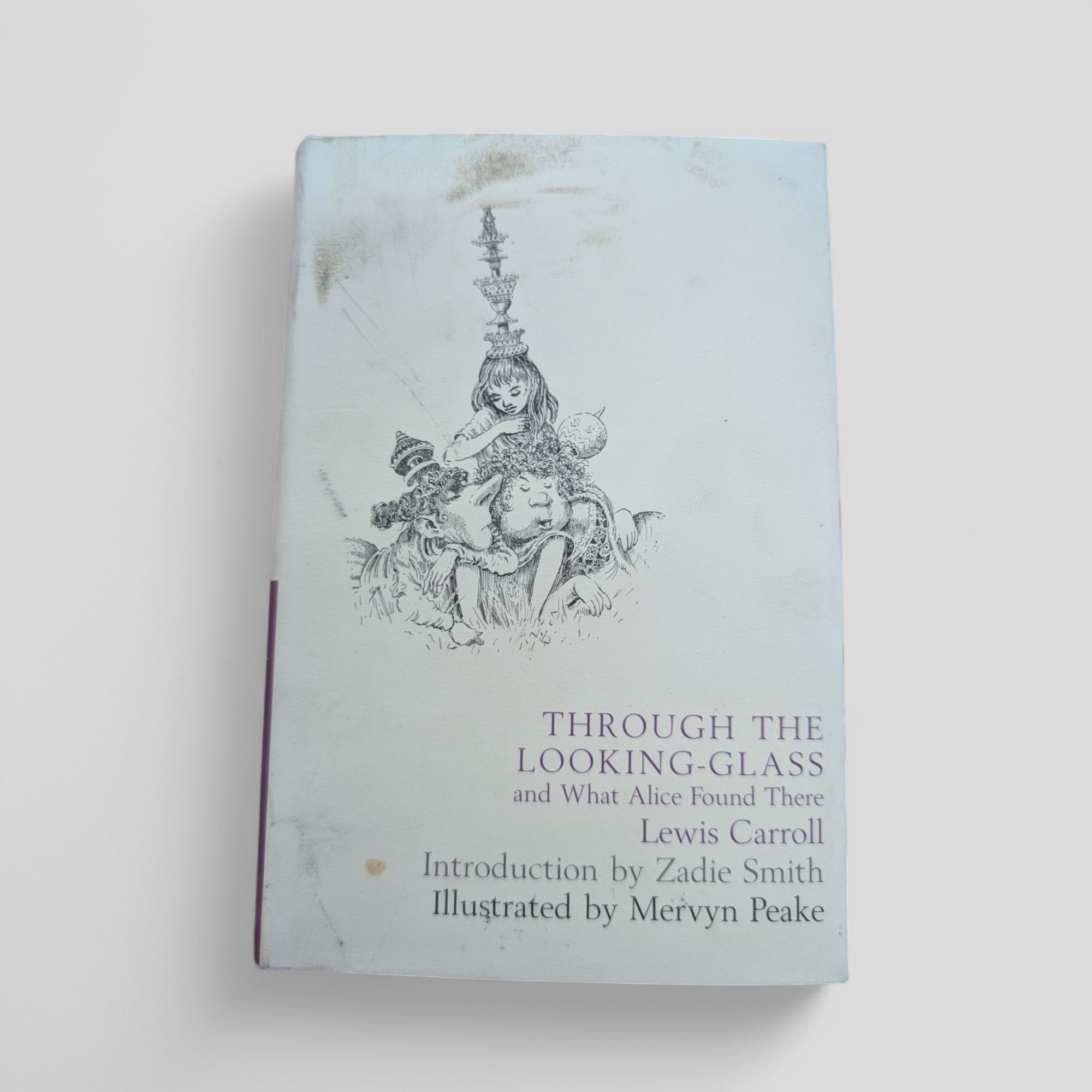 Through the looking glass – Duck & Dodo