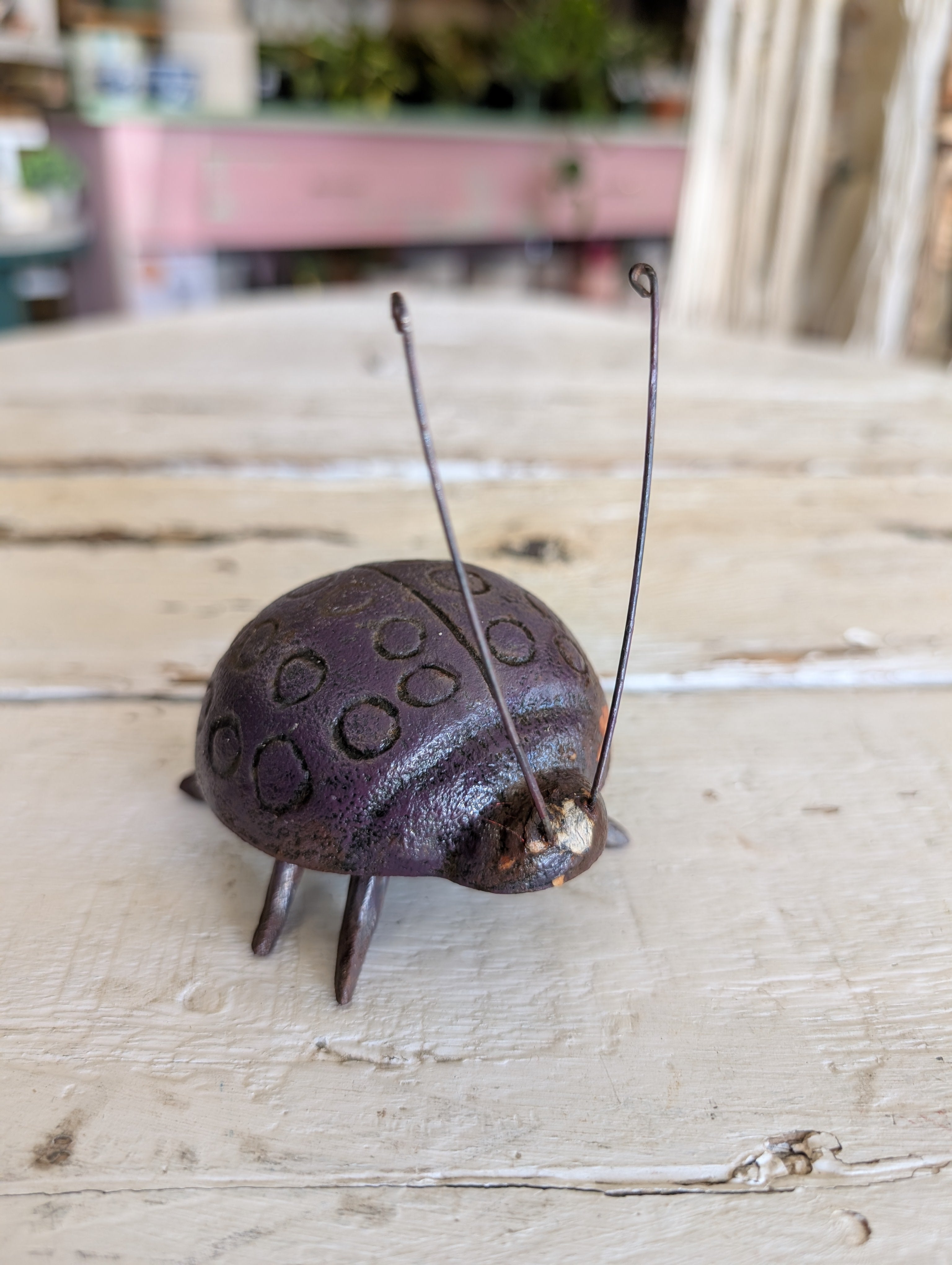 Cast iron lady bug – Duck & Dodo