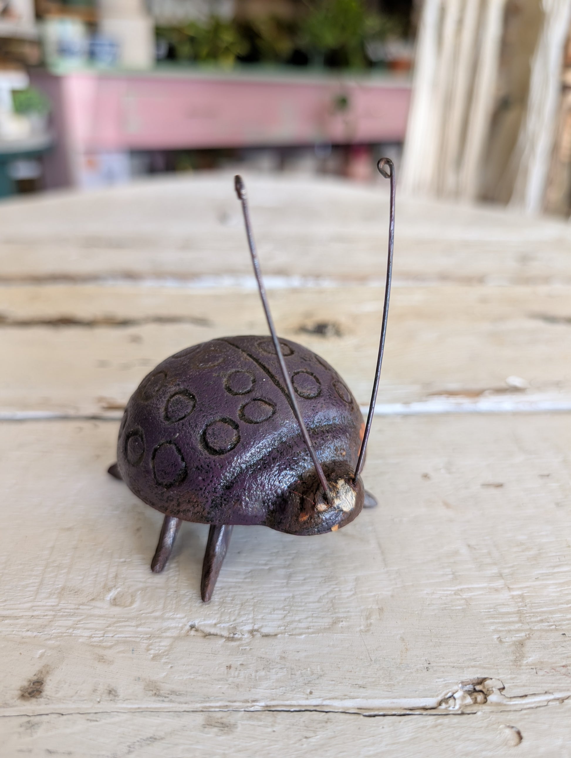 Cast iron lady bug – Duck & Dodo