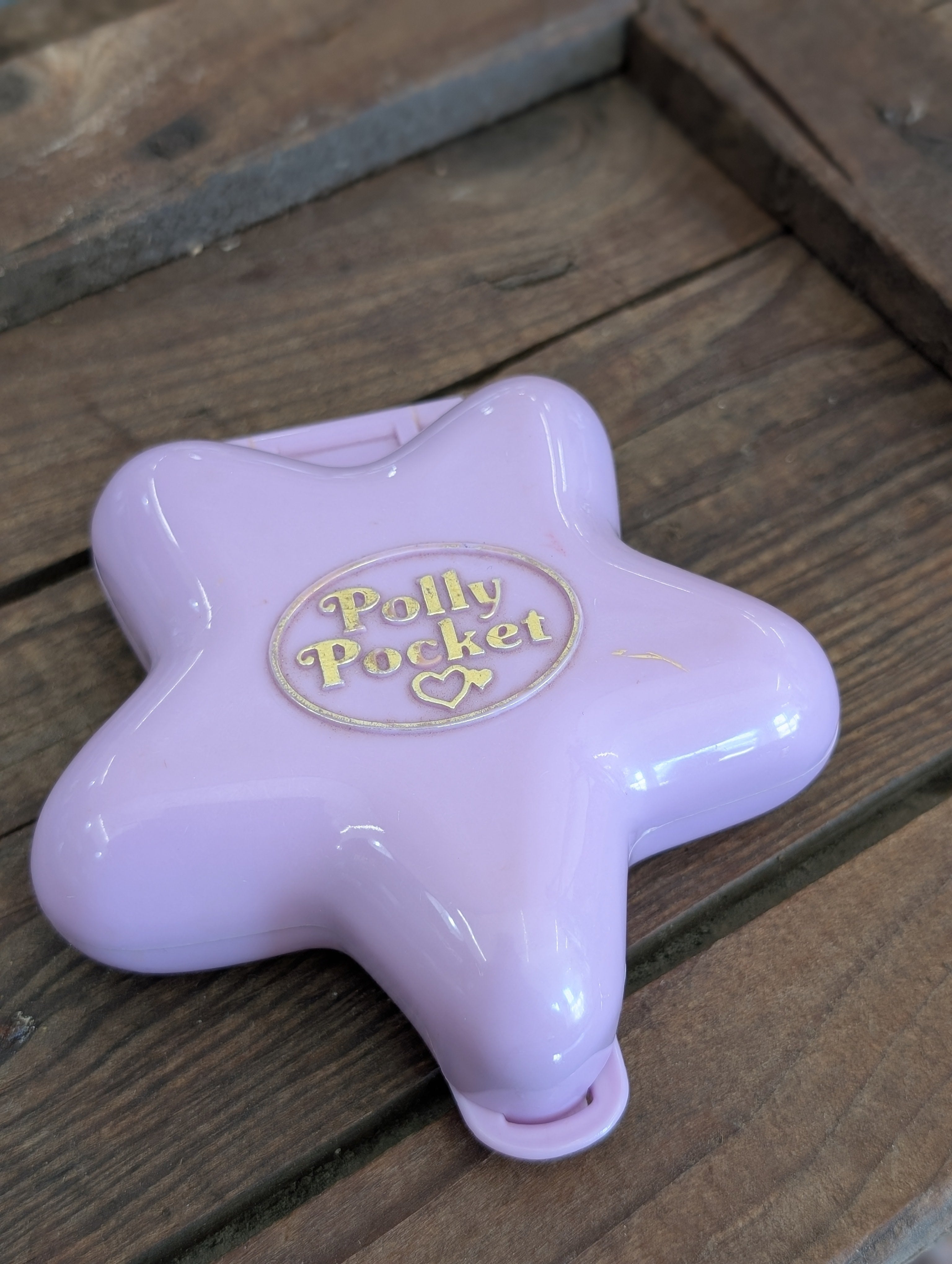 Fairy Fantasy Polly Pocket – Duck & Dodo